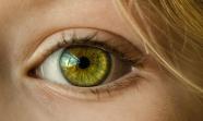 Artificial Eye To Help Correct Blurry Images