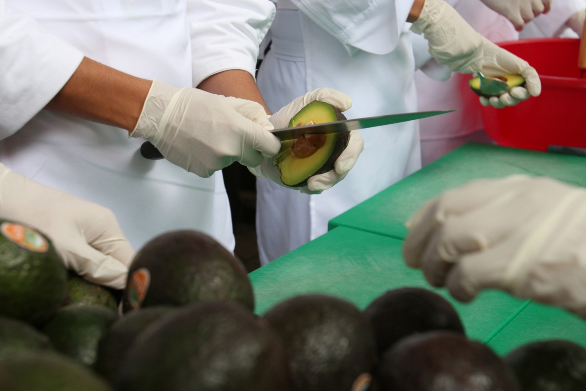 6 reasons why avocados should be included in diet