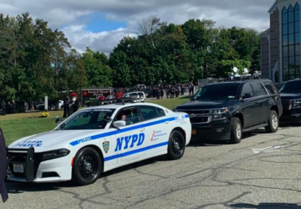 Pit bull fatally mauls man, police arrest woman for siccing dog