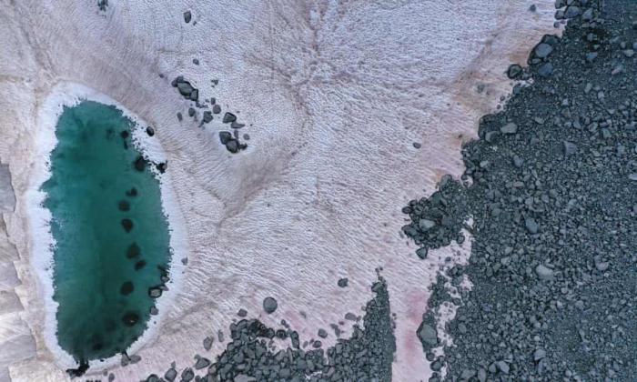 Pink Ice in Alps Glaciers: Tourists Lament Impact of Climate Change