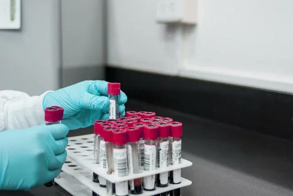 Mystery Disease Claims 17 Lives in India's Budhal Village; Authorities ...