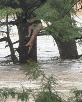 Dramatic Video Captures Moment Woman Clinging to Tree Branch after ...