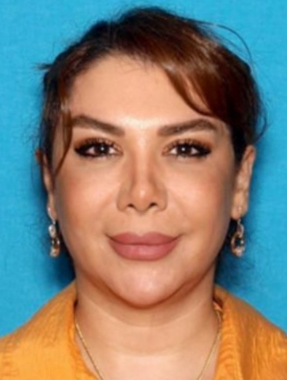 Who Is Shamim Mafi? Glamorous Iranian Woman Arrested at Los Angeles ...