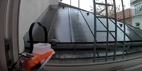 Homemade AI-Powered 'Pigeon Defence System' goes Viral After Reddit ...