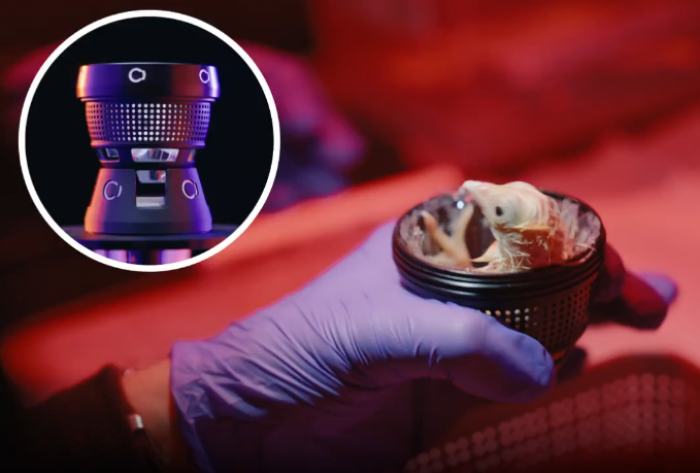 Dallas Biotech Firm Hatches 26 Live Chicks from 3D-Printed Art...