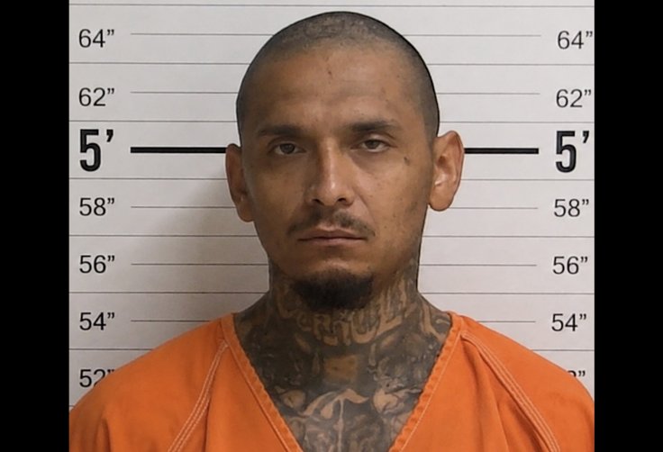 New Mexico Woman Killed by Man She was Collecting Evidence Against to ...