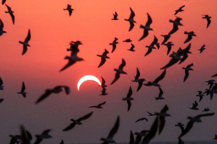 2024 Solar Eclipse Made People Feel More Connected to Science, Study Finds