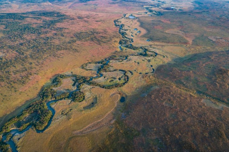 Remote Angola Expedition Uncovers New Insects, Reptiles and Amphibians