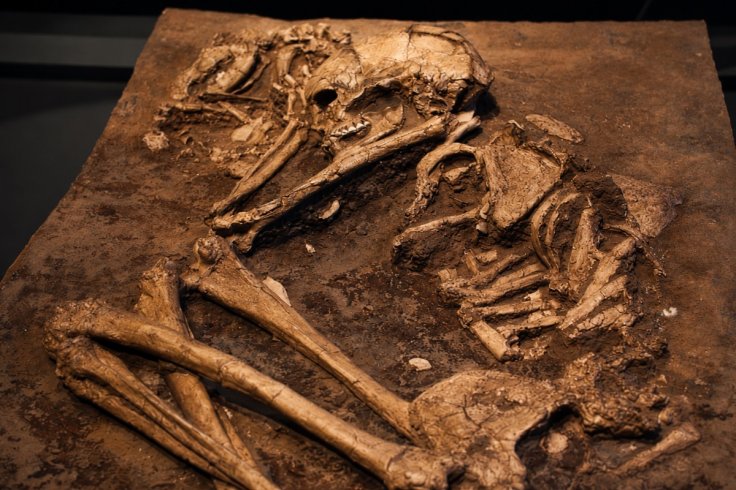 2,000-Year-Old Scottish Burial Reveals Possible Brain Removal ...