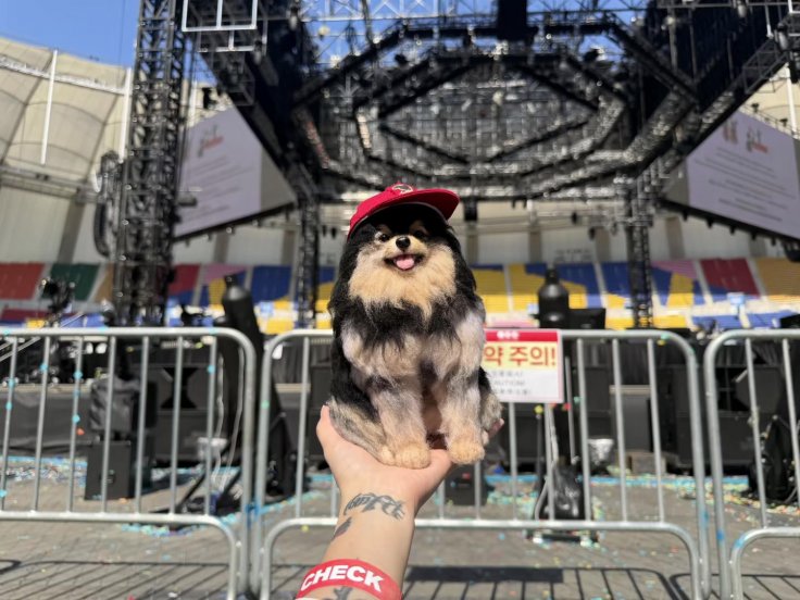 BTS' V Moved by Yeontan Lookalike Plushie at Busan Concert Aft...