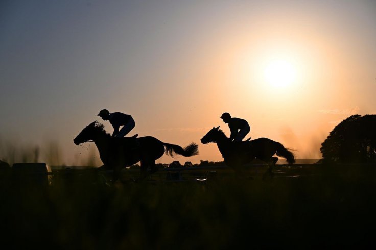 Apprentice Jockey Jack Dace Hospitalized After Brighton Fall K...